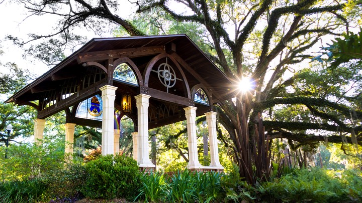 Photo Collection | Alec Pappas